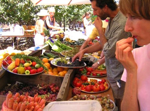 A Modern-Day Raw Food Movement History | Dr. David Klein | Fruit-Powered